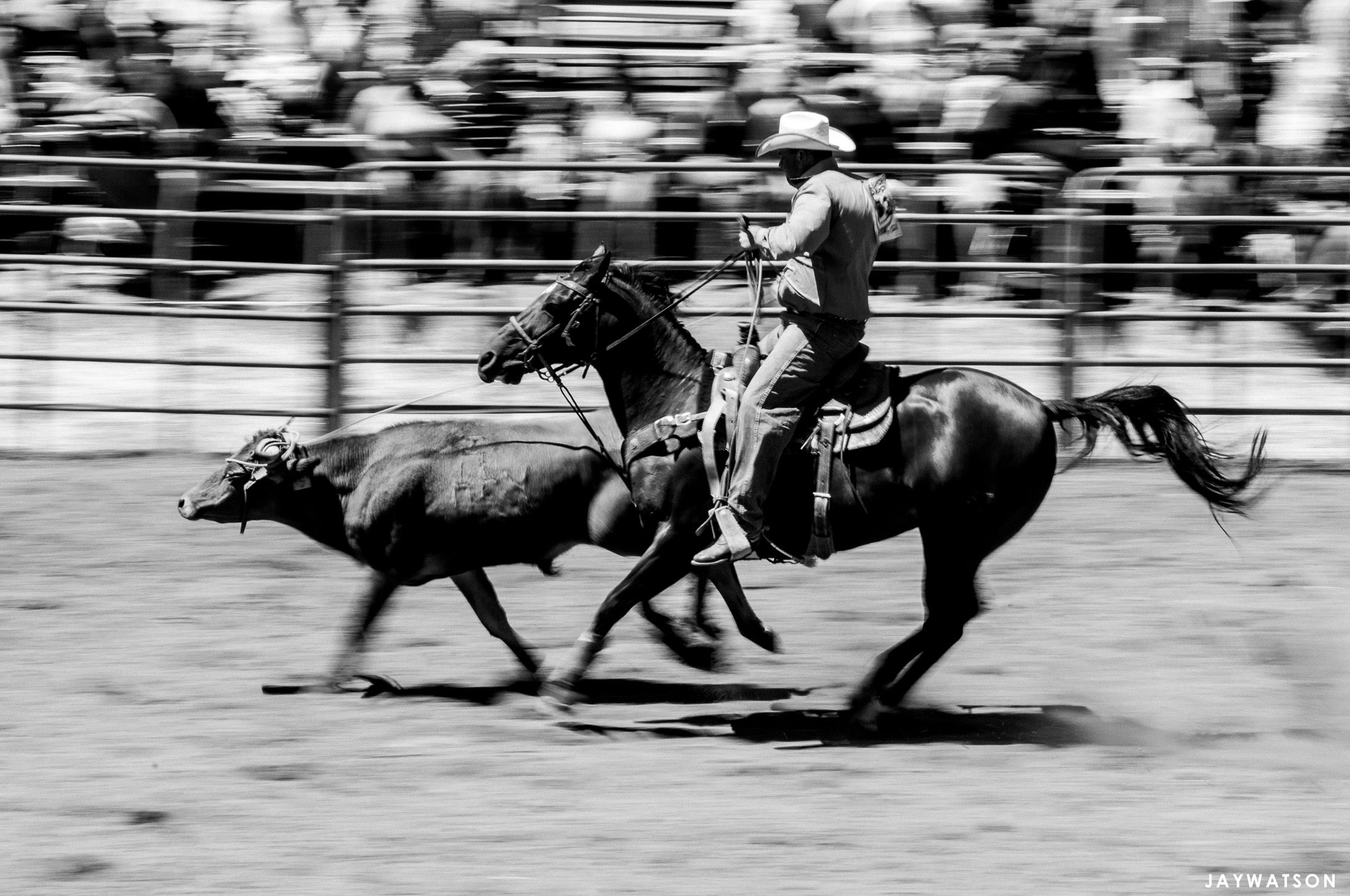 Driscoll Ranch Rodeo. La Honda, CA