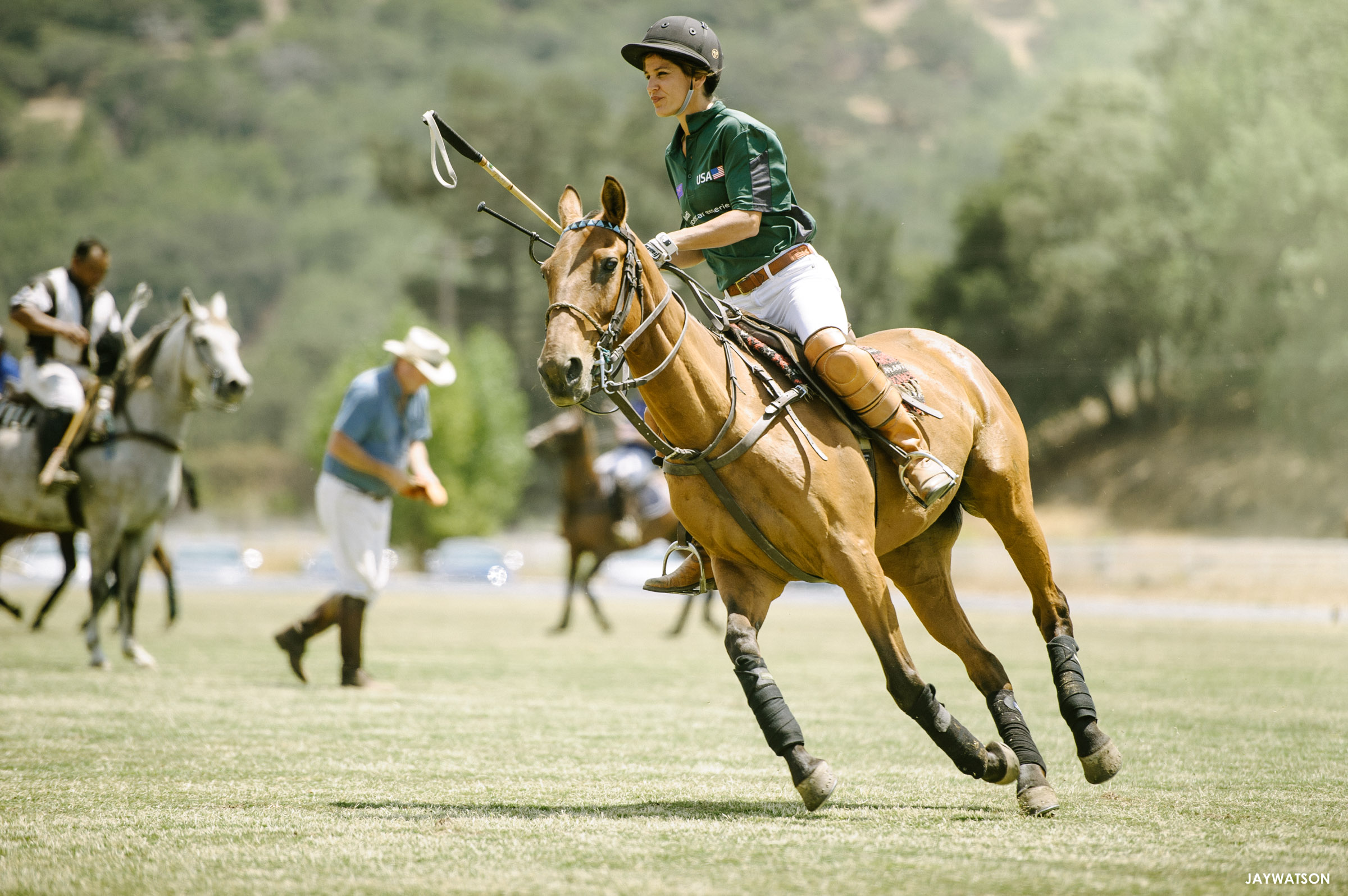 San Francisco International Polo Classic