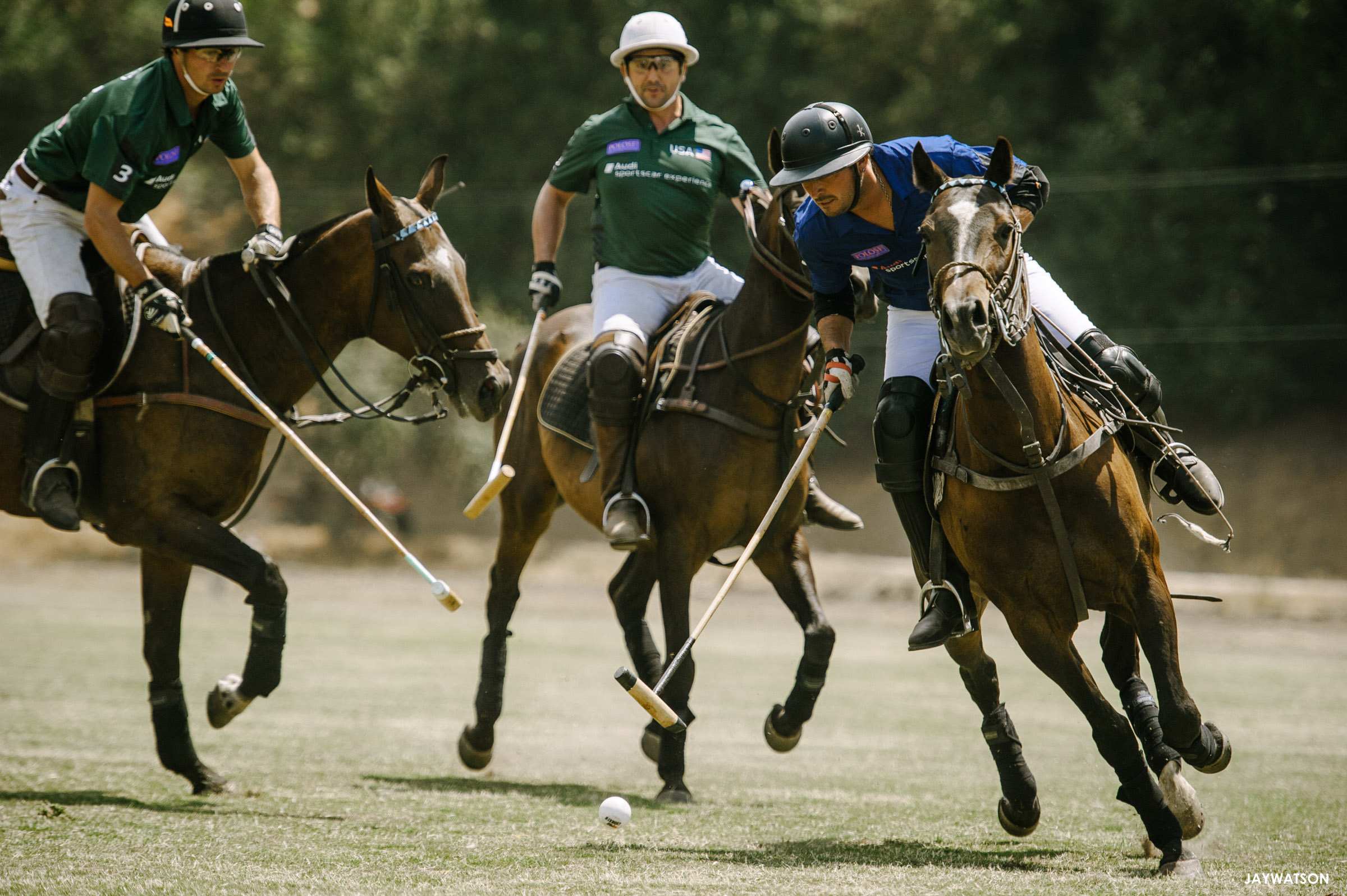 San Francisco International Polo Classic